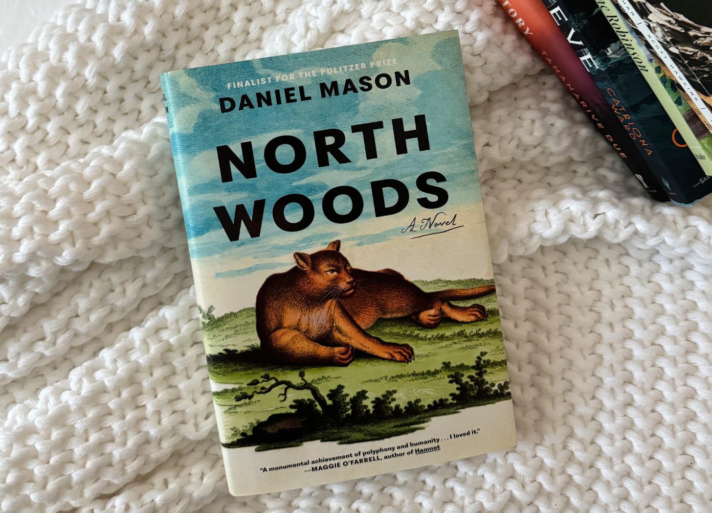 North Woods by Daniel Mason - by Natalie McGlocklin