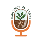 Hablemos de Verde | Substack
