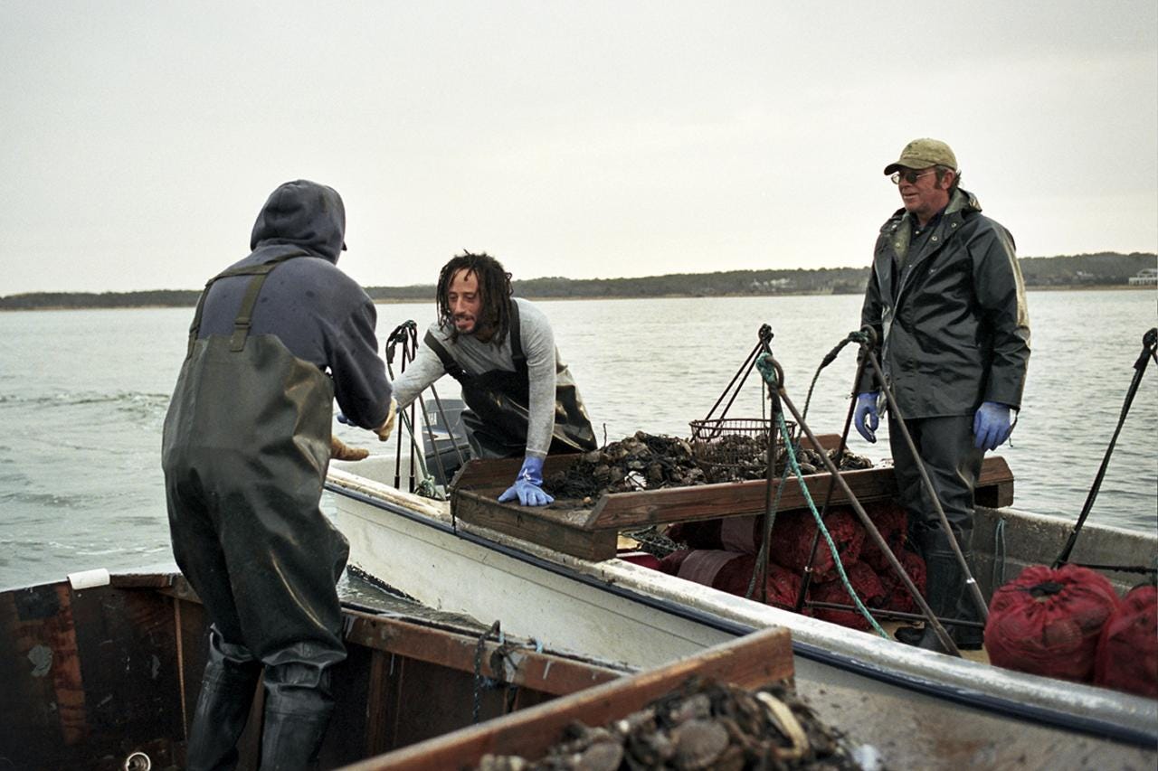 The Last Fishermen of Long Island