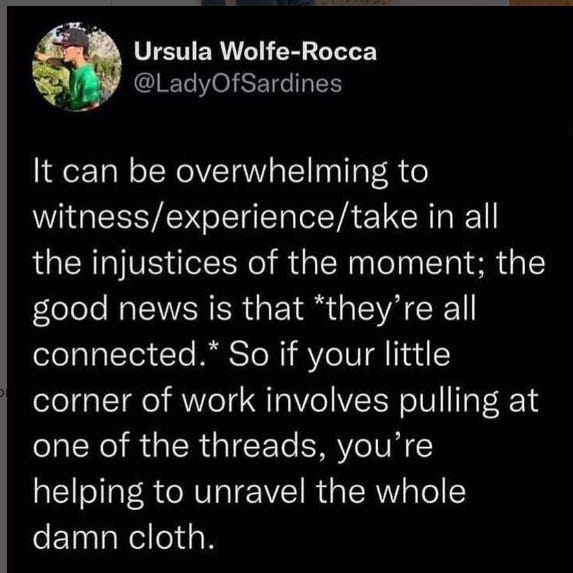 Curious Compassion #6 - by Brandy Griggs