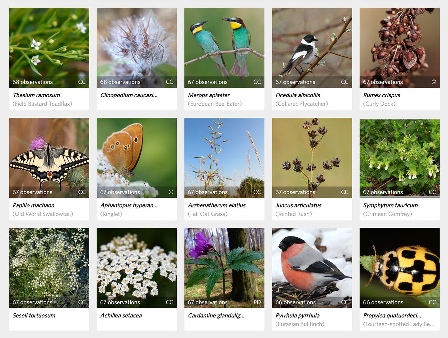 The Nature of War - by Bryan Pfeiffer - Chasing Nature