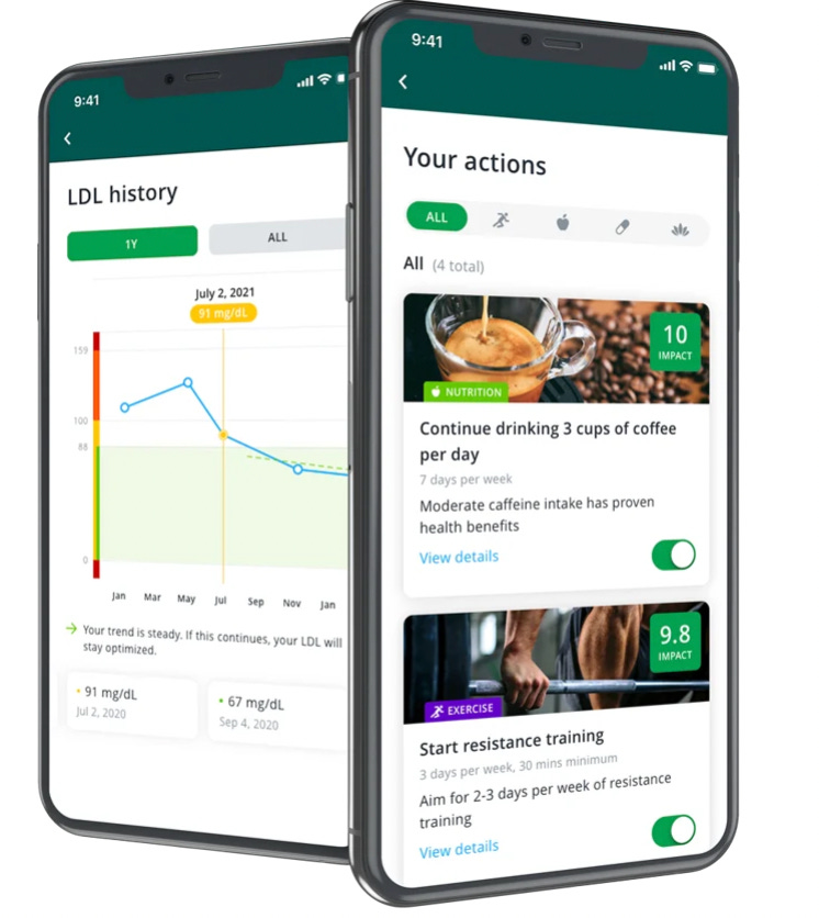 3 Key Supplements for Optimal Brain Function