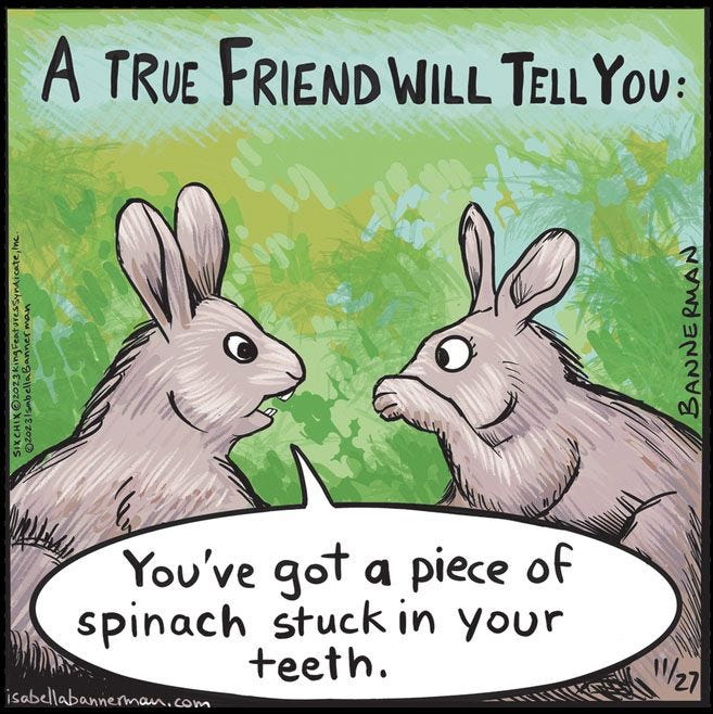 Would You Tell Me If I Had Spinach in My Teeth?