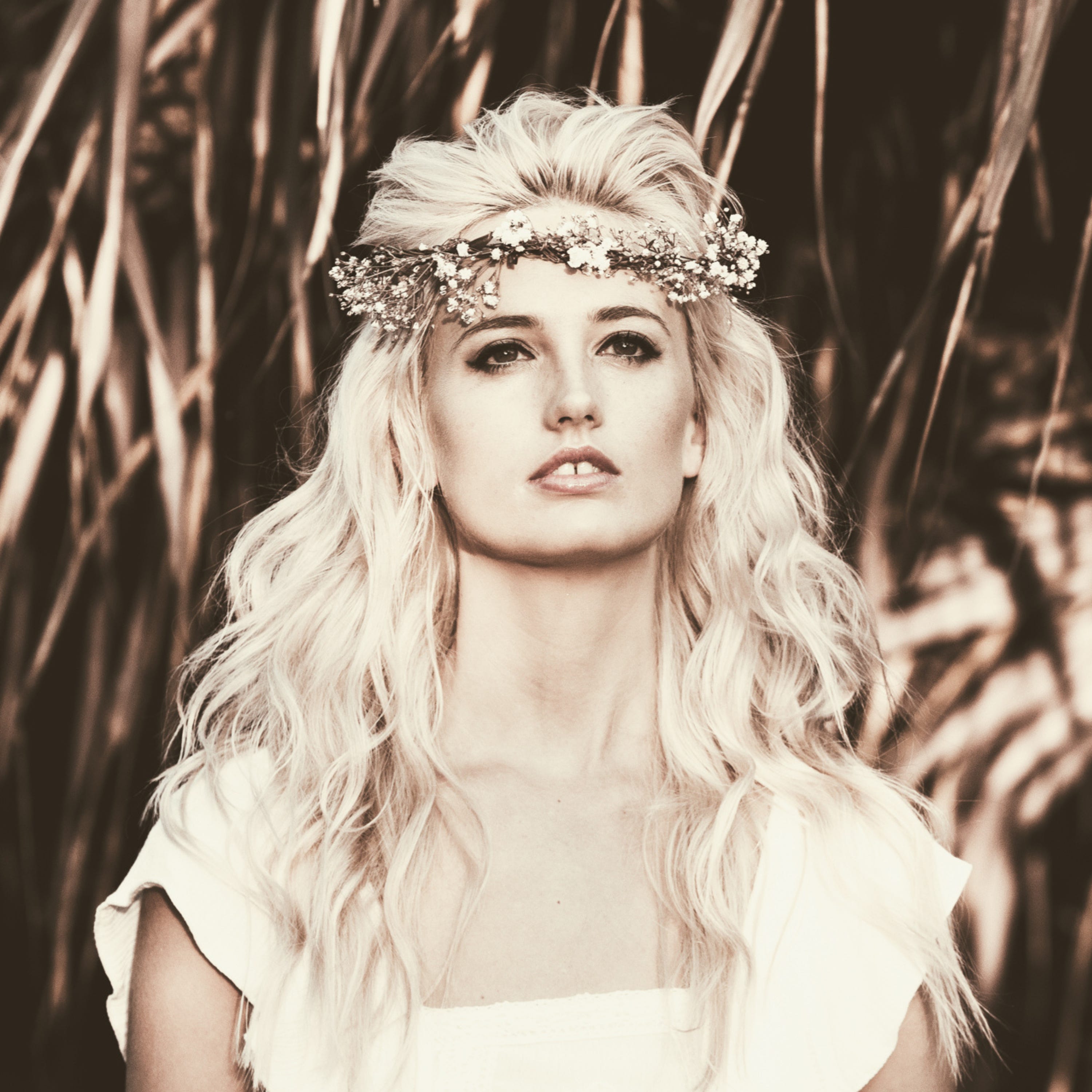 Niamh Cronin | Substack