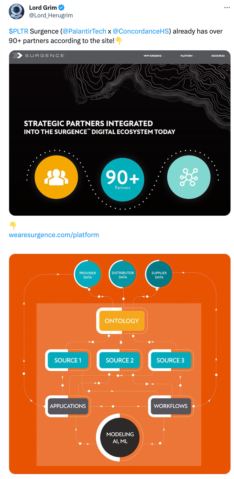 👍 Elon Musk approved? | Palantir Bullets #43