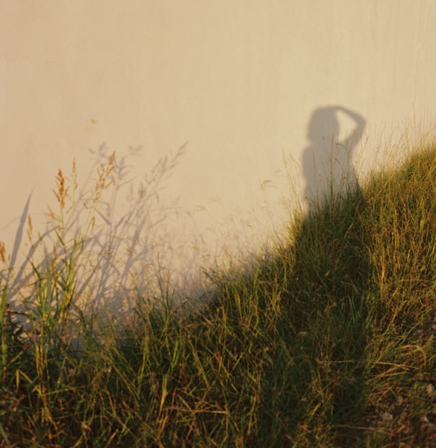 Julie Pointer Adams | Substack