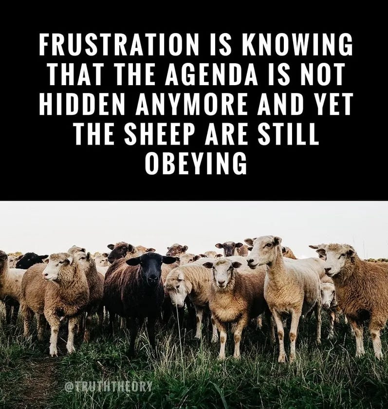 My Favorite Memes: Mass Hypnosis & Brainwashing (Part 2)