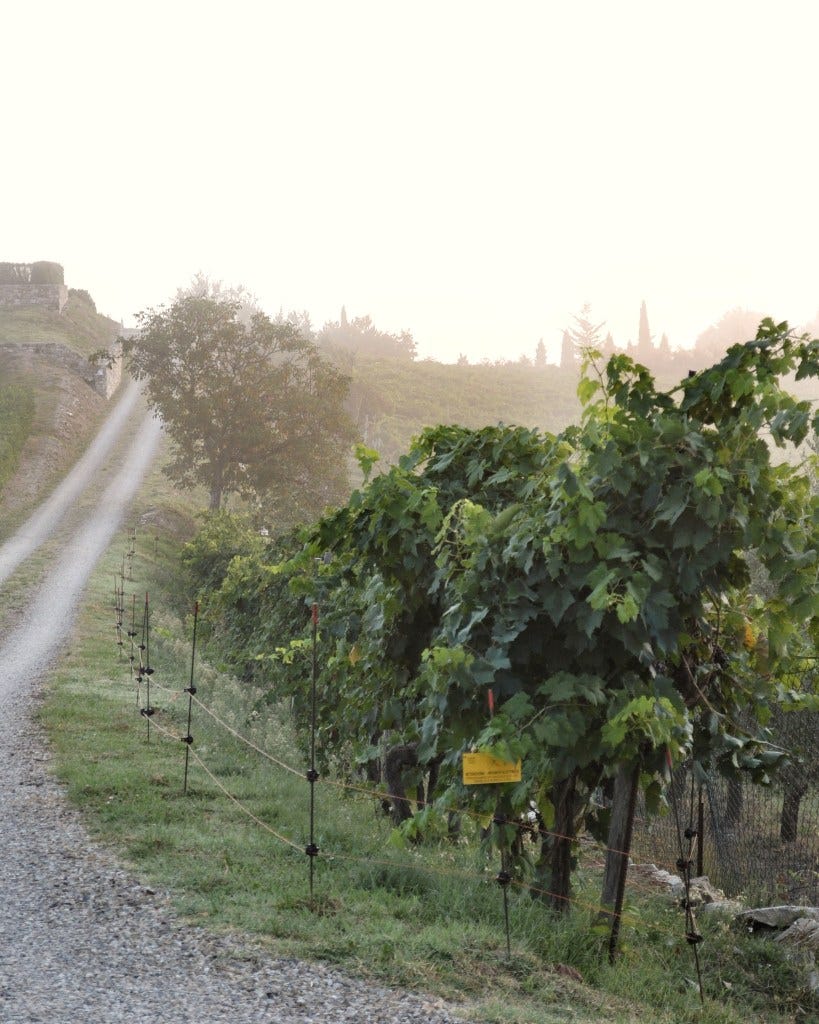Castellina in Chianti | A Guide to Tuscany’s Most Overlooked Village