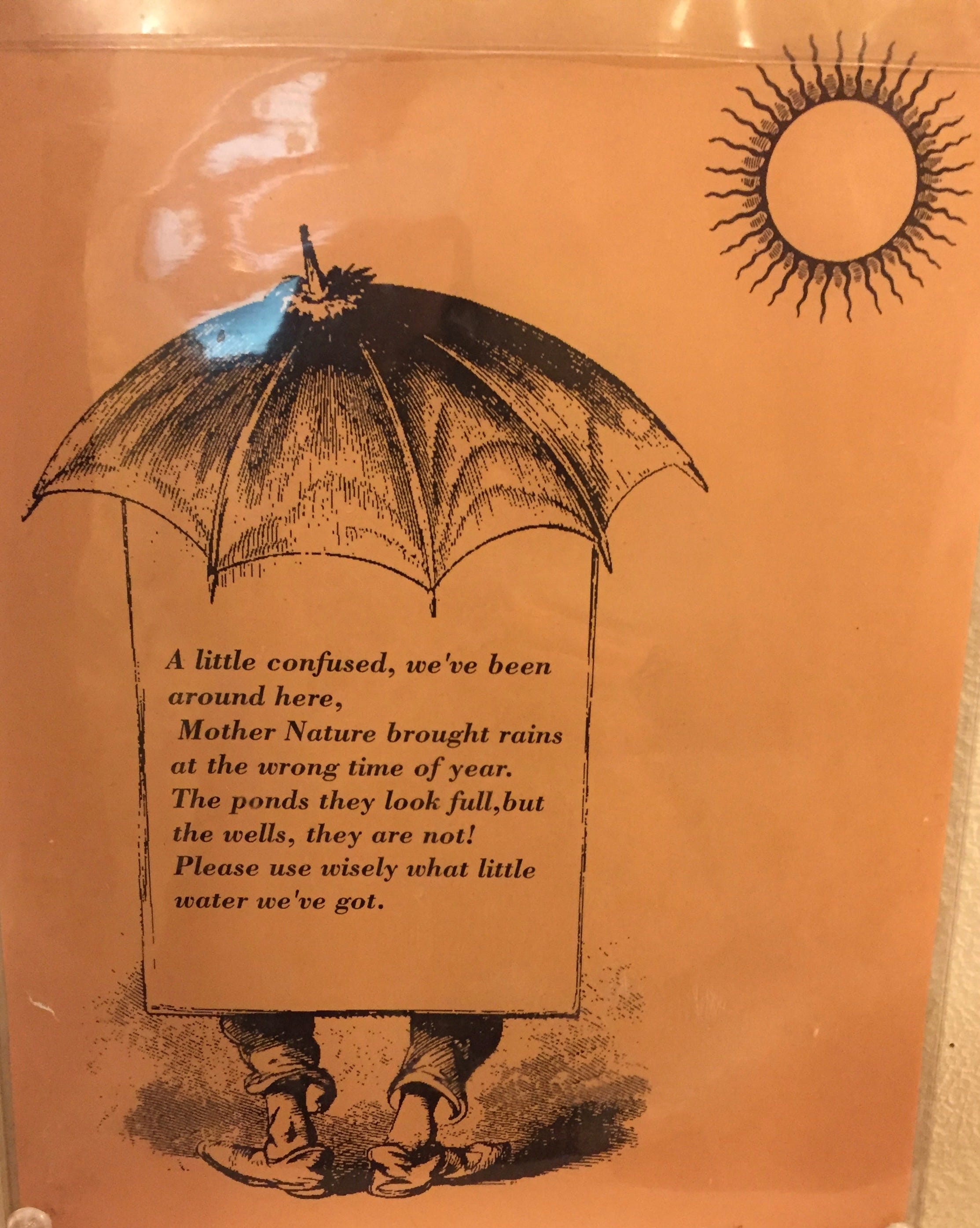 The Salvation of Rain - by Allison Loomis