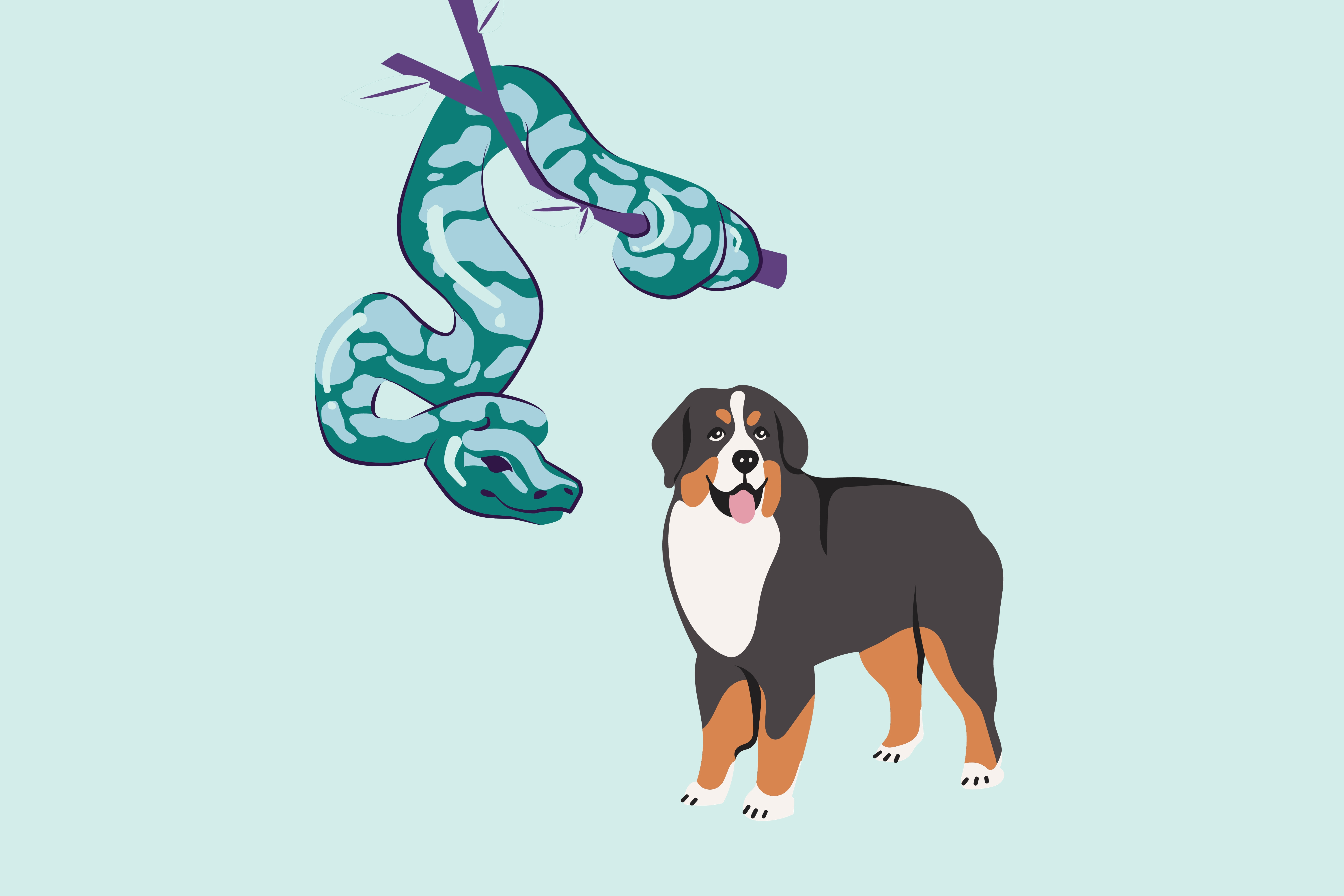 How to Appear Calm in Chaos - by Emily Sheen