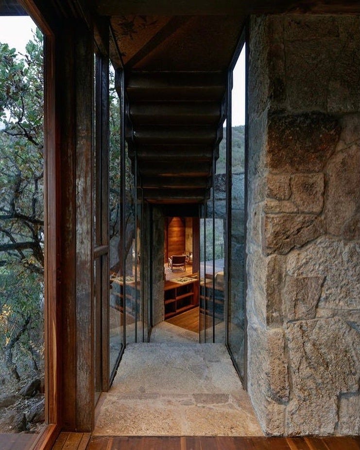 The Rabbit Hole 🕳🐇 issue no.36 - by Patricia