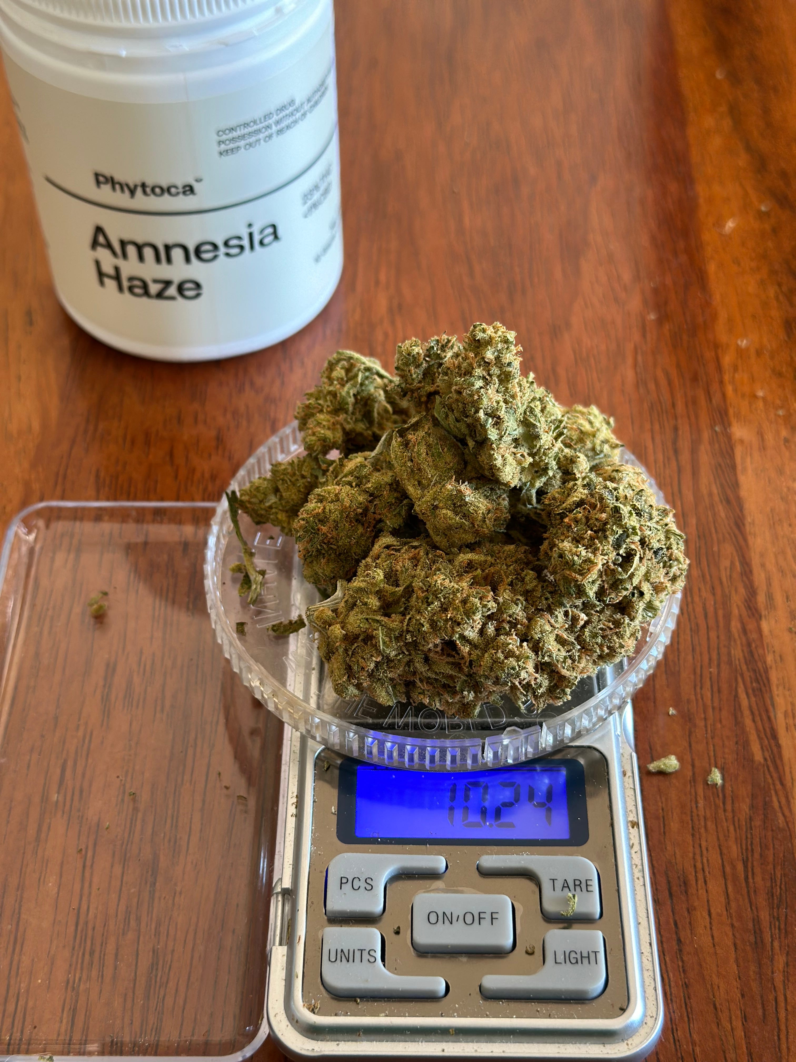 Phytoca’s Amnesia Haze Flower Review | AusCannaReviews