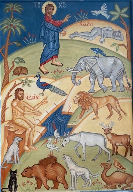 The Drama in the Garden of Eden - by Solrunn Nes