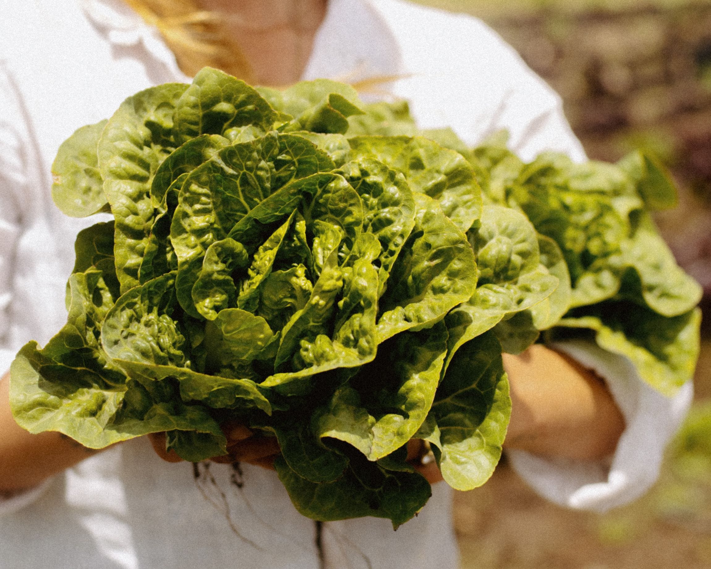 Sam Rogers | Substack