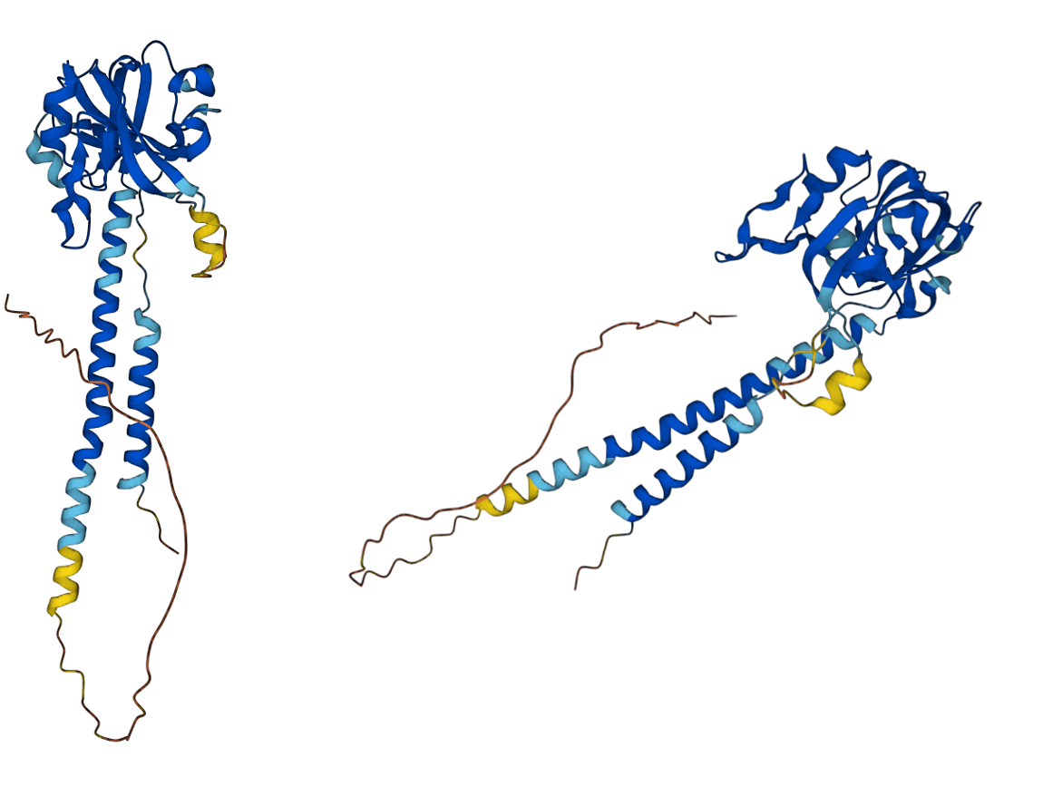 Yeast-powered drug repurposing screens for SURF1 Leigh Syndrome are ...
