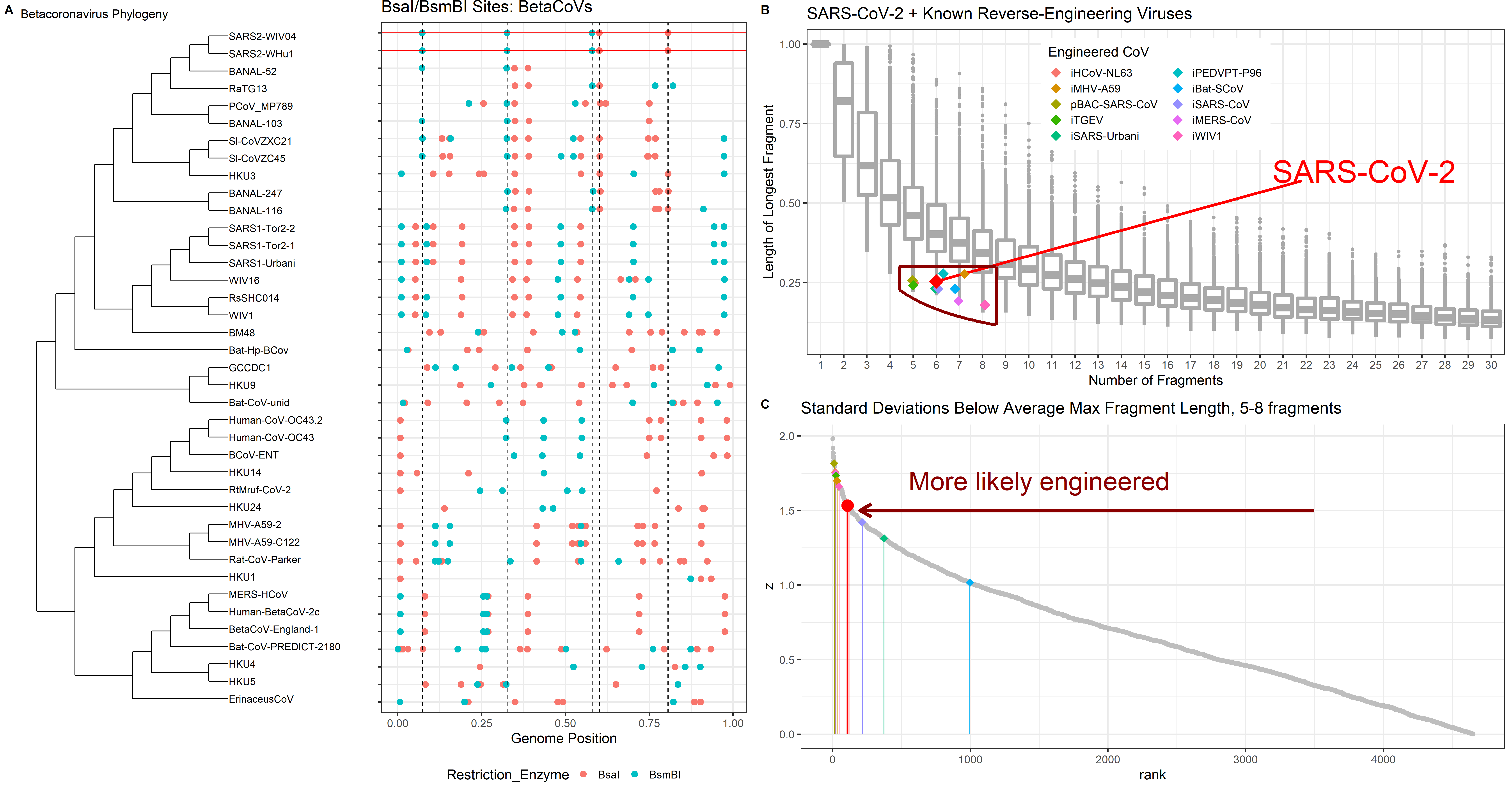 A short history of SARS-CoV-2 Origins - by Alex Washburne