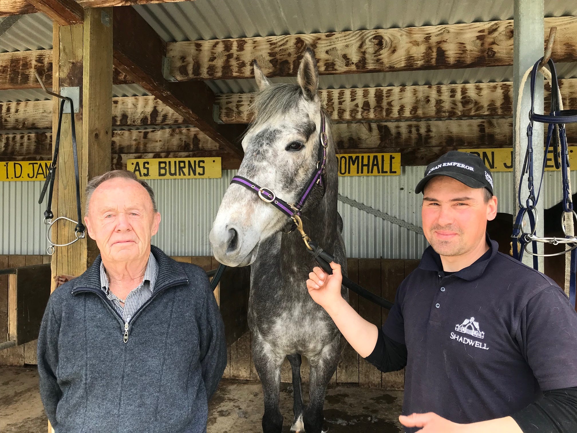 Rhaegar, Willis good Christmas Eve chances for Howden