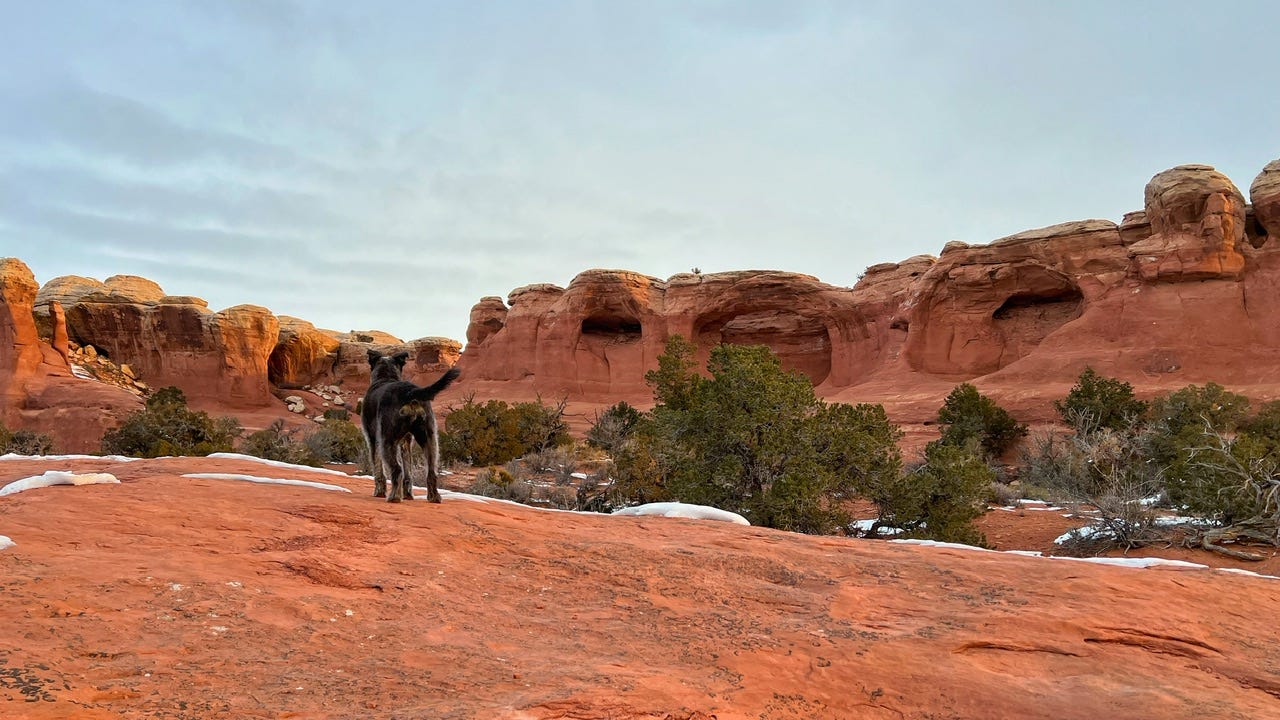 Postcards from the Open Road: Moab - Tom Ryan, Author