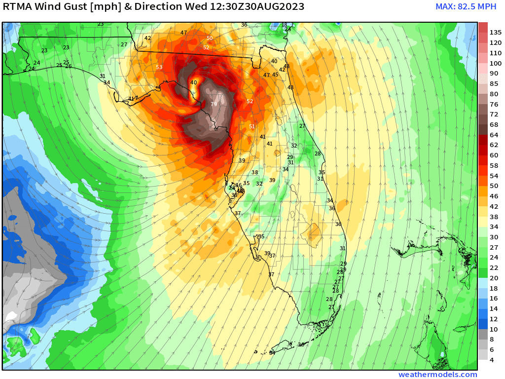 WeatherTiger's Hurricane Idalia Landfall Live Blog [Final Post: 11:30 a.m.]