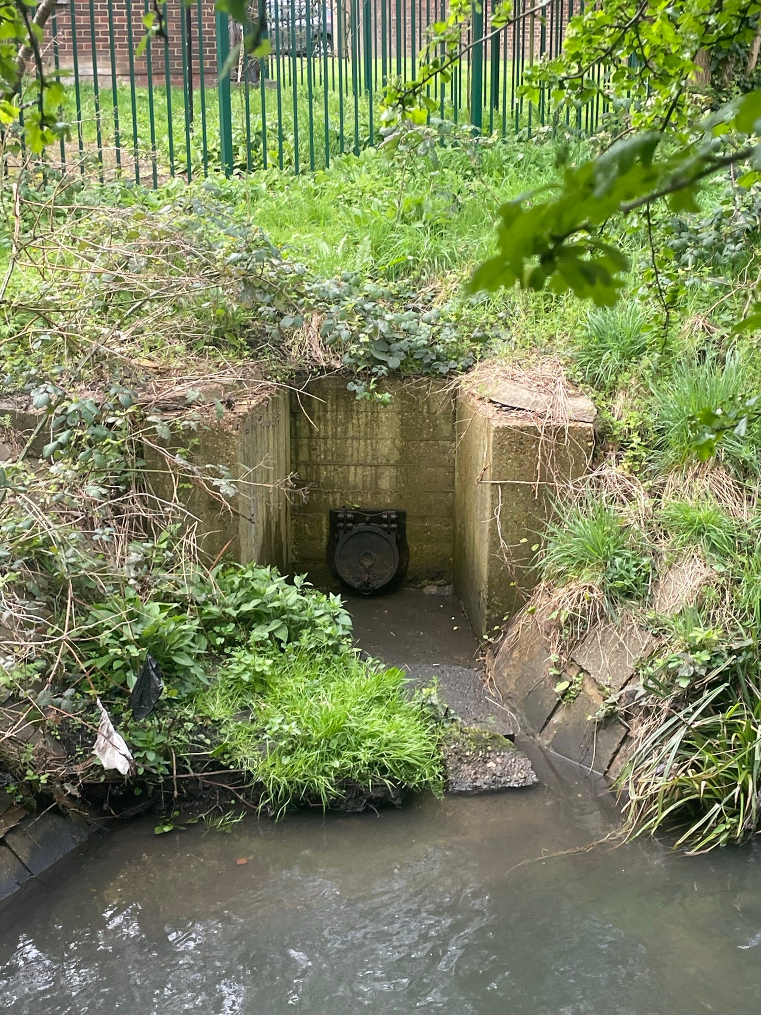 Revealed: Raw sewage dumped at nature reserve in east London