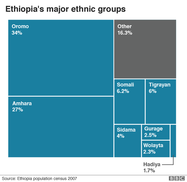 GETTING ETHIOPIA DEAD WRONG - Rasmus Sonderriis’s Substack