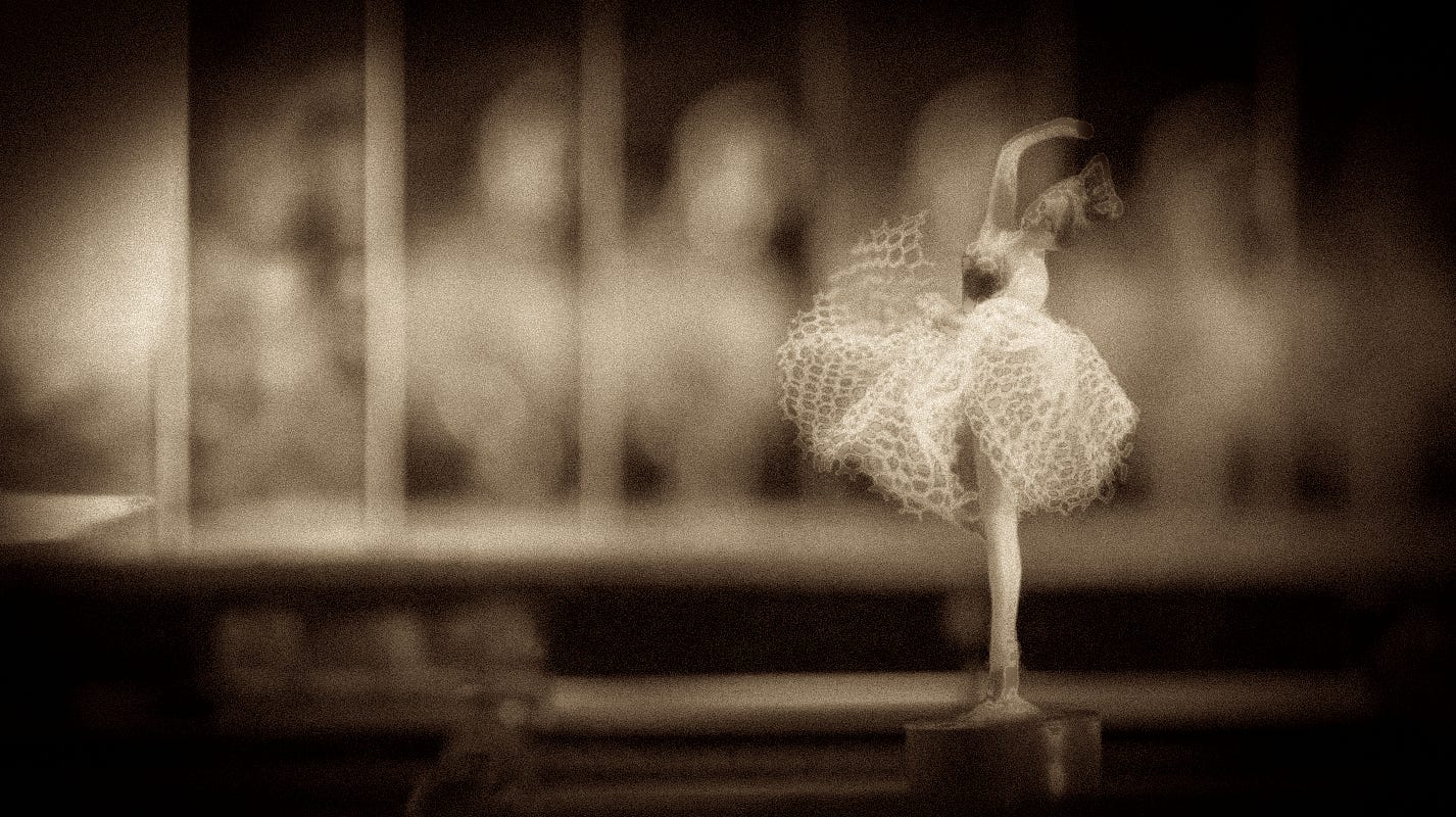 Dancer - by Heidi Berry - Heidi’s Substack