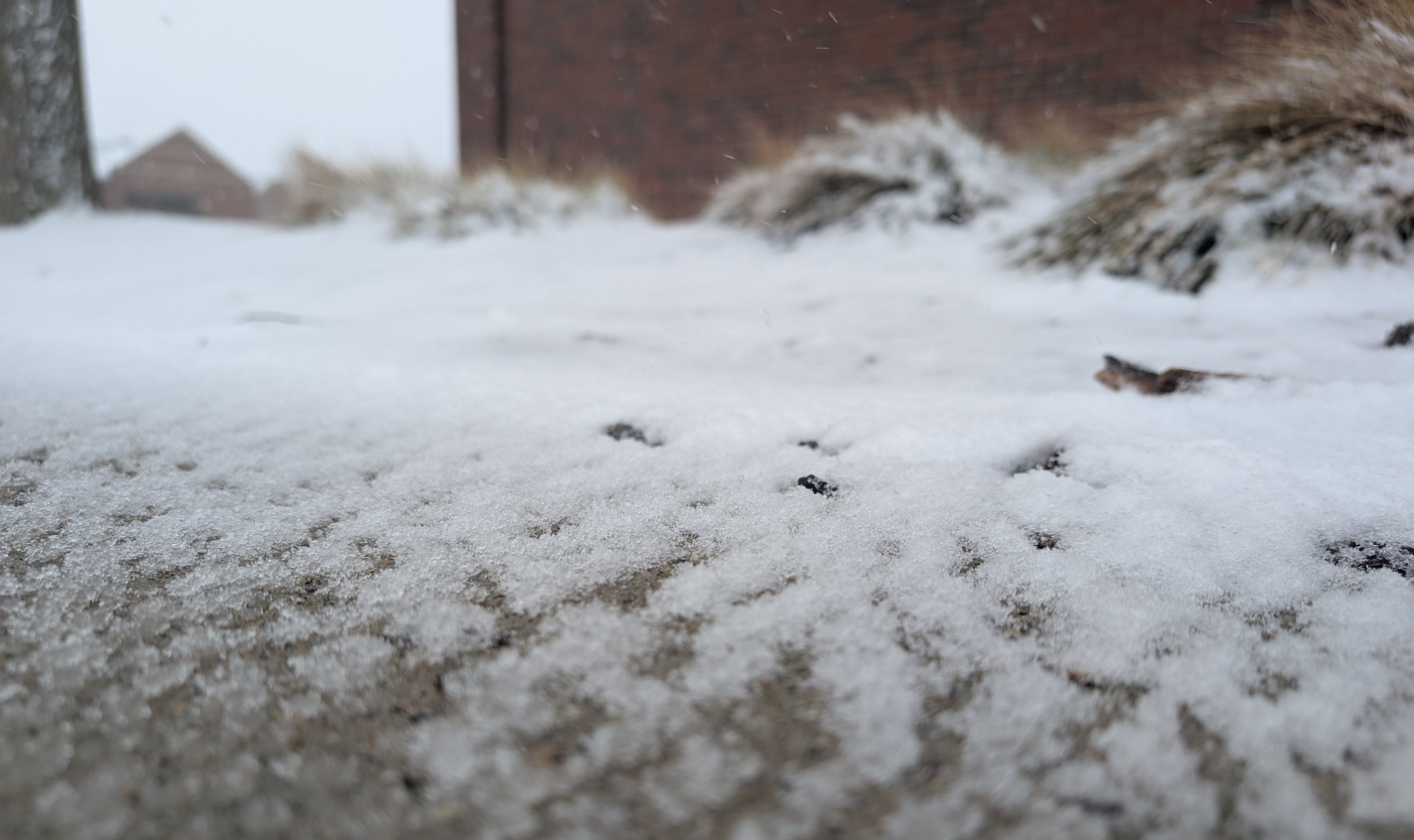 Whose stupid idea is this weather? - by Eric Baerren