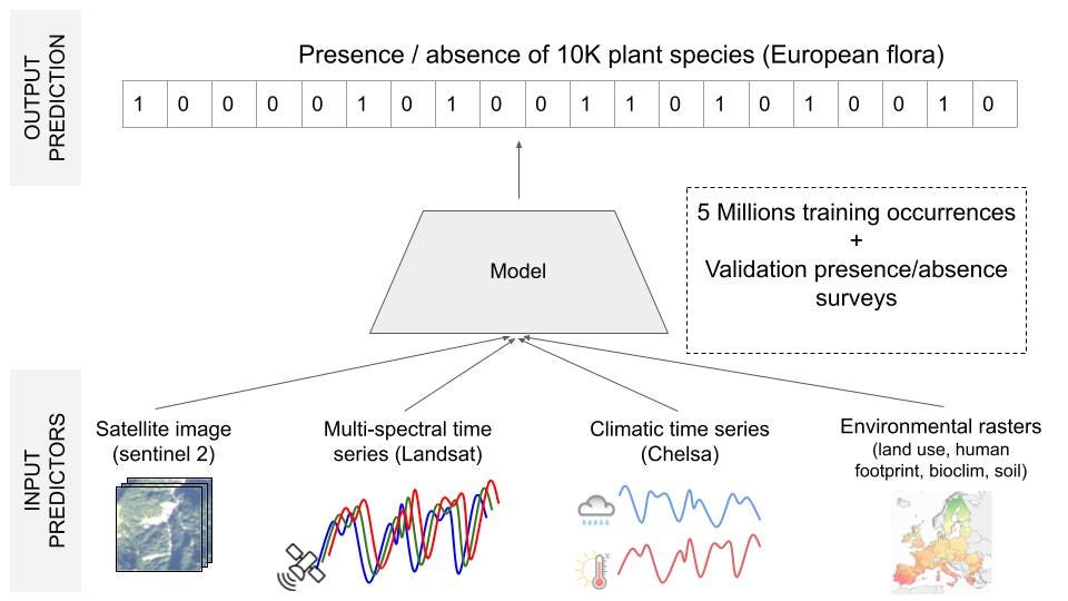 New discoveries #13 - by Robin Cole