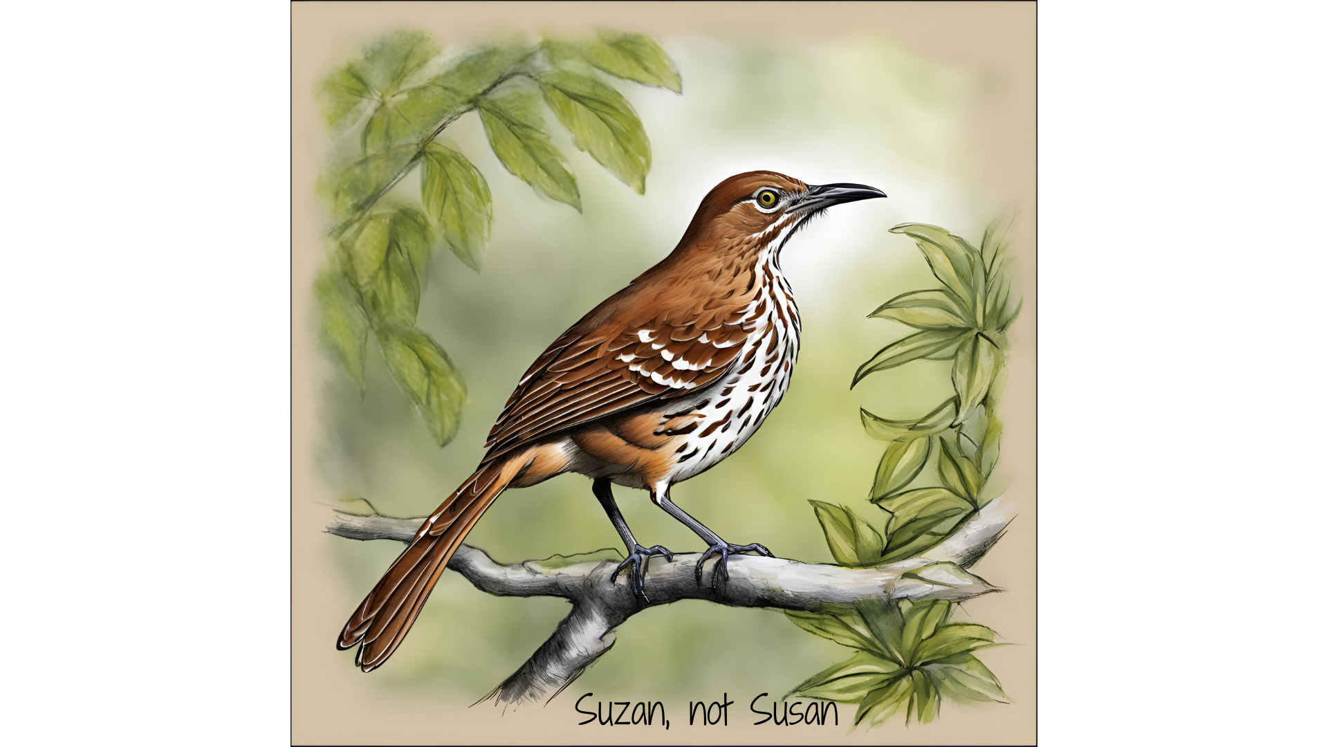 Unfinished - by Suzan, not Susan - Suzan’s Substack