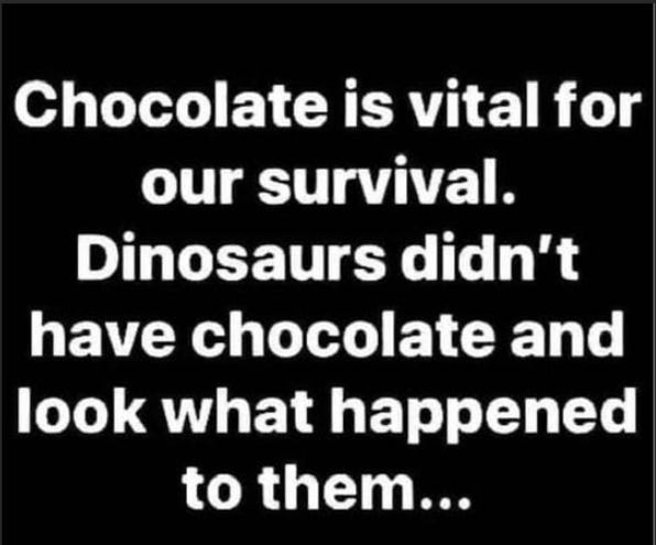 Alison Bevege: Why the misinformation bill must be stopped