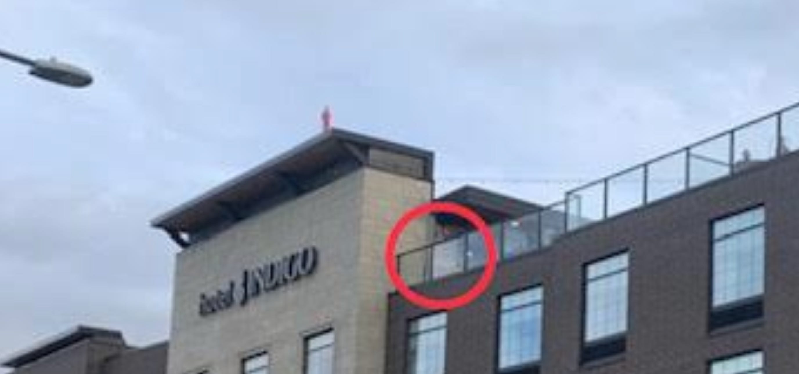 VFYW: Zombies And Haunted Hippie Trees - by Chris Bodenner