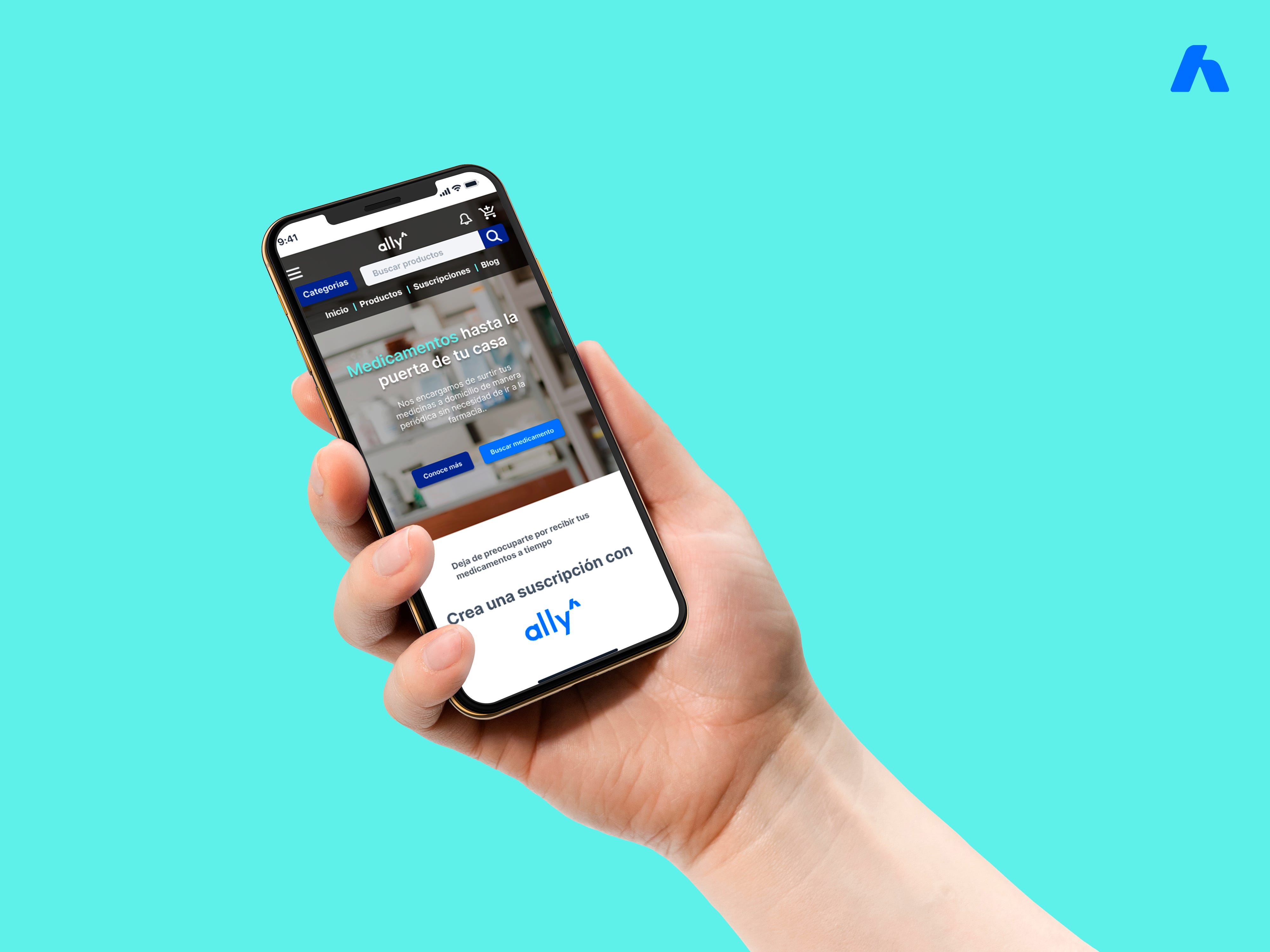 Ally - by Daniel Rodriguez - Founders Launchpad