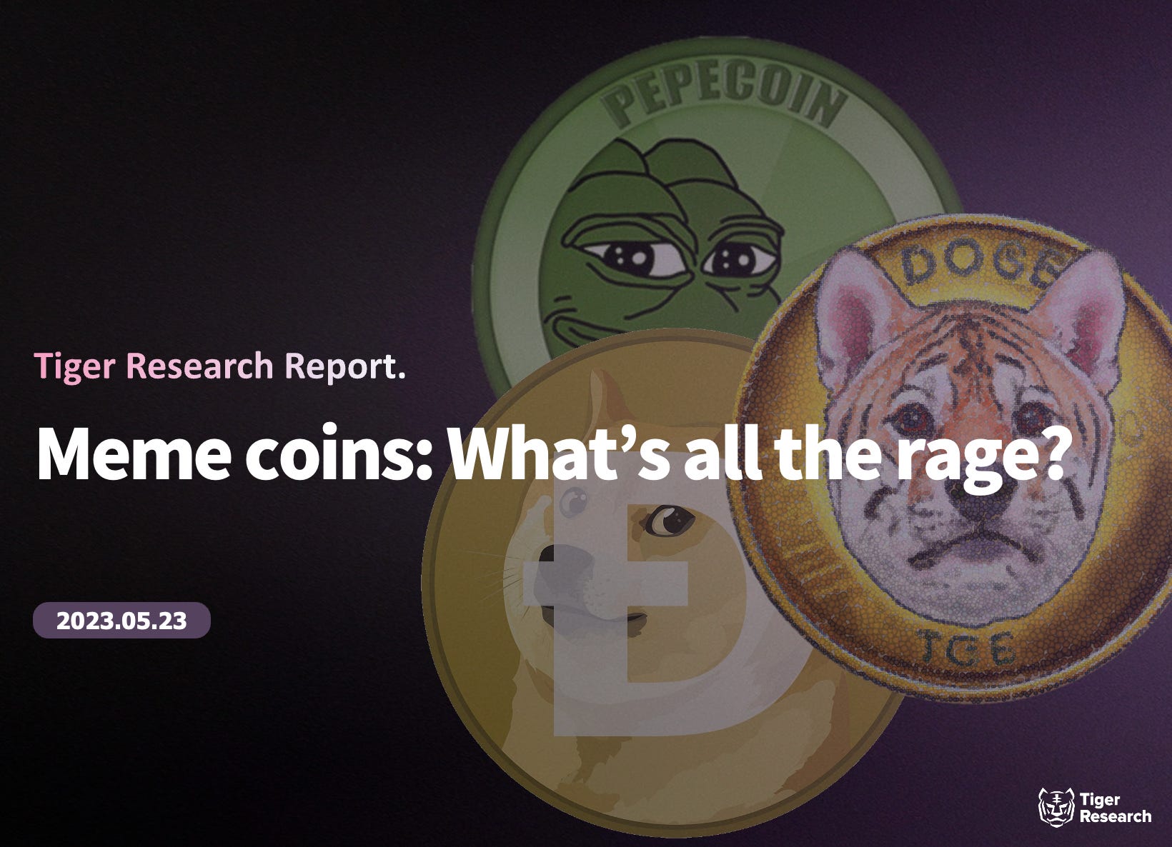 What is Meme Coin ? W