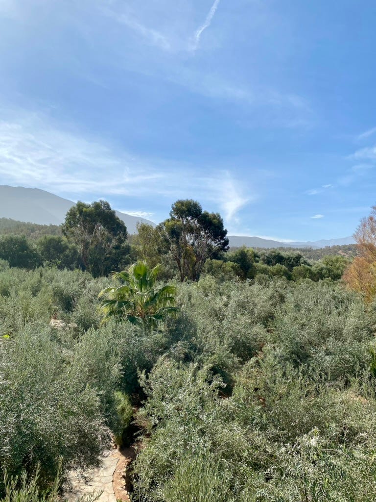 The Moroccan Express - by Claire Berlinski
