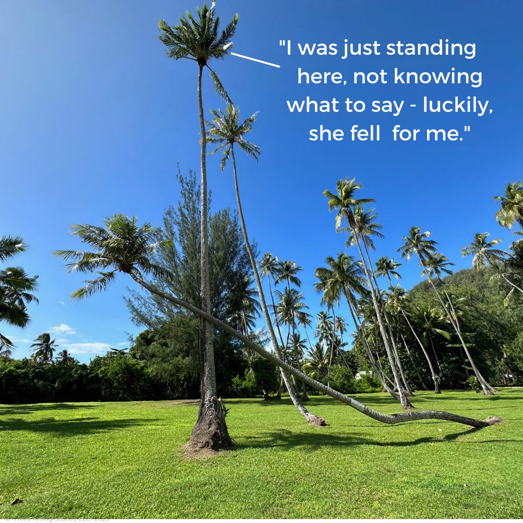 ICYMI - The Trees Telling Stories Substack