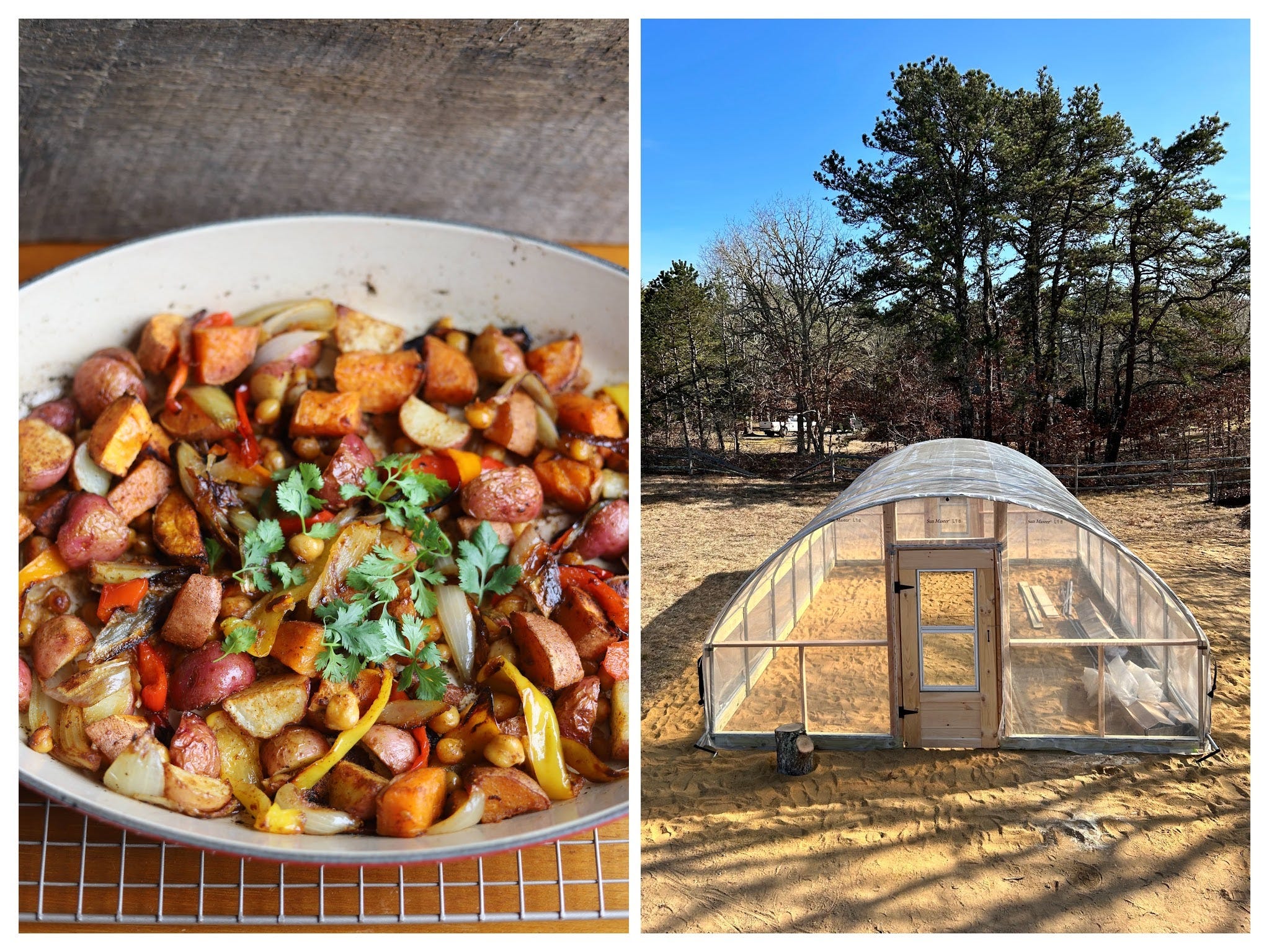 The Sidebar: It's Only Life After All - by Susie Middleton