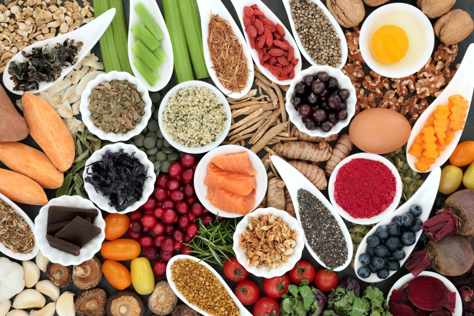 Functional Food and Pet Food - by Dr Ilario Dal Mas
