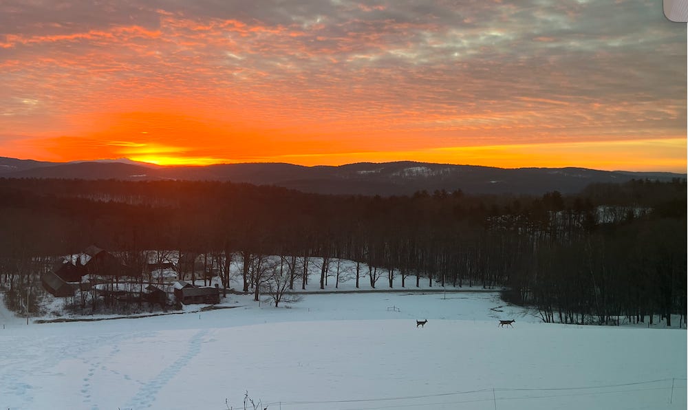 my moka pot mornings - by Desdemona Smyth