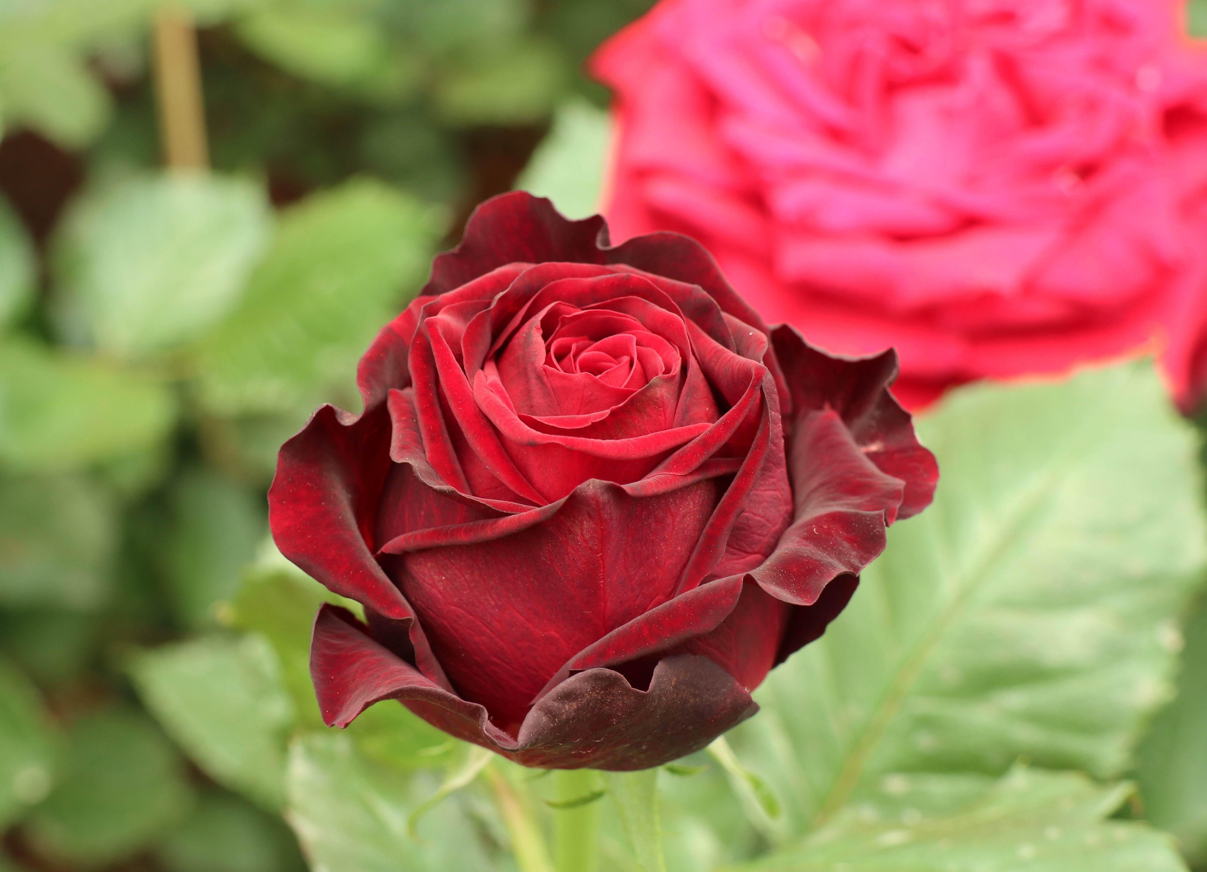 A safer solution - by Melanie Newfield - The Turnstone