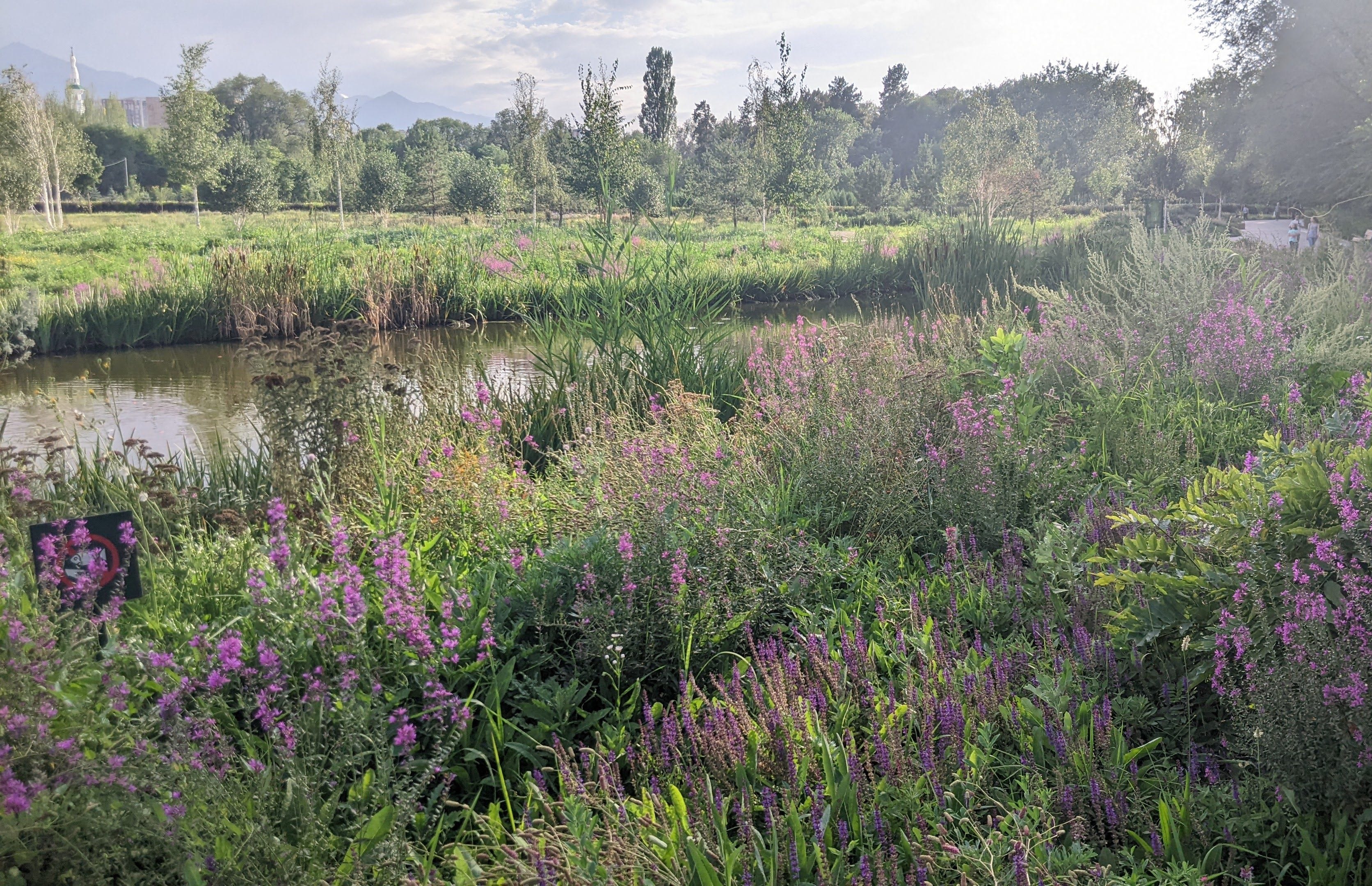 Balkan Ecology Project : Gardens Around the World - Almaty Botanic ...