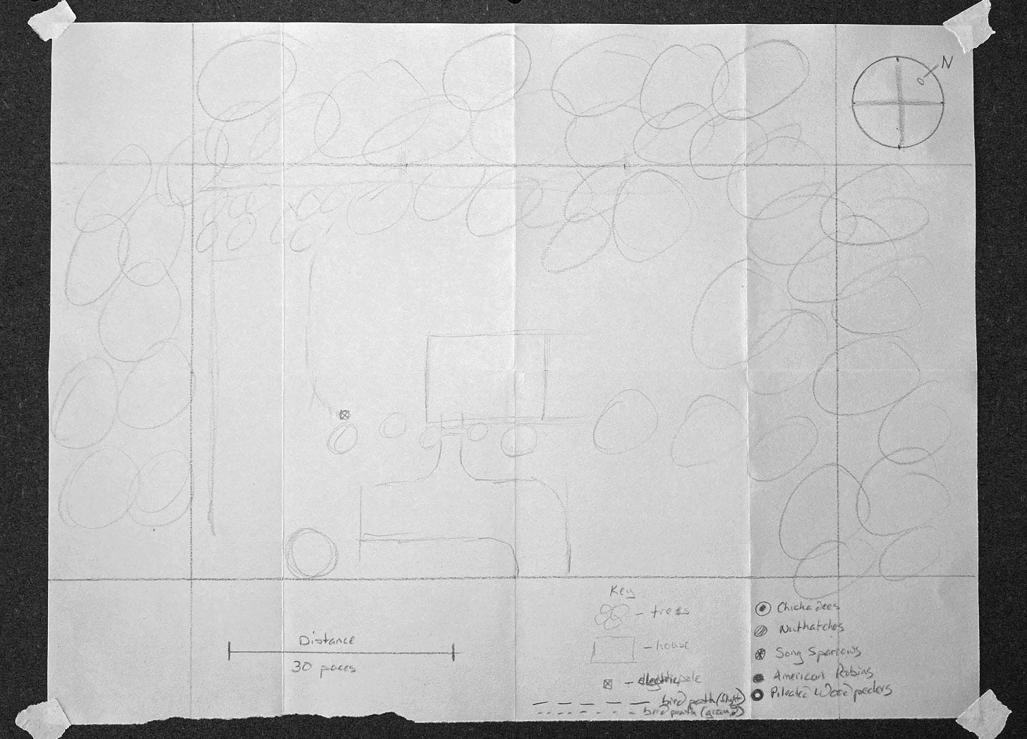 Weekly Prompt No. 13: Mapping part 1 - by Susannah Fisher