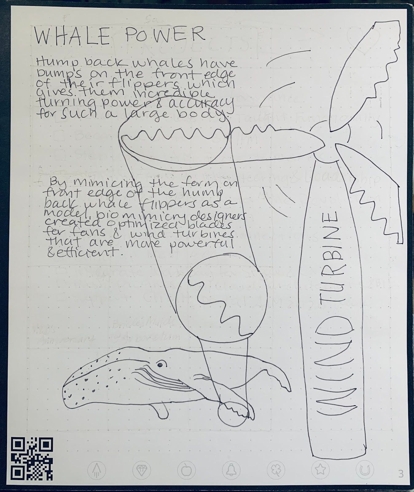 Part 2: What is Biomimicry? - by Anne - All.The.Things