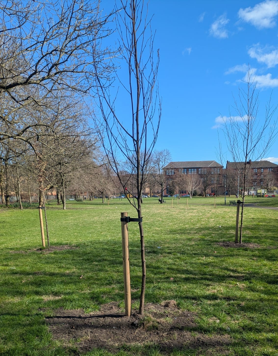 Green in Govan: Plantation Park, Govan Music Festival