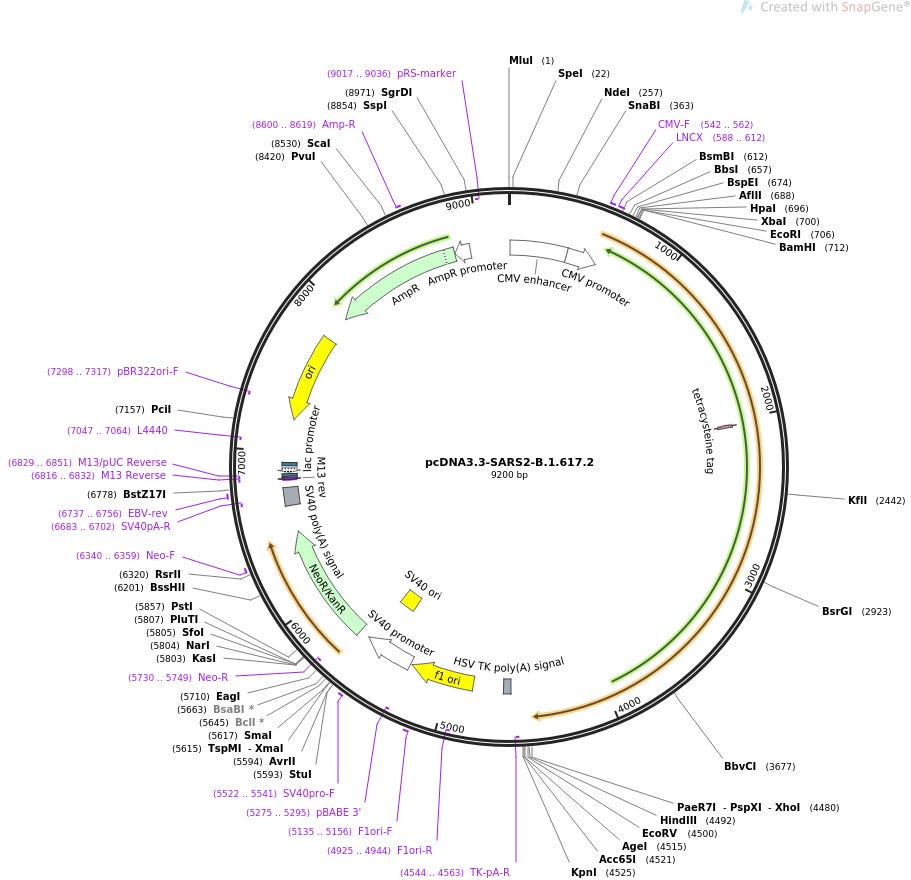 Plasmids: a history lesson - by Washed Up Pharmacist