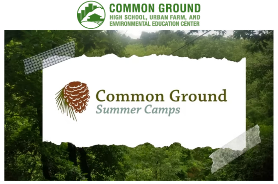 Special Edition: Hamden Guide to Summer Camps 2023