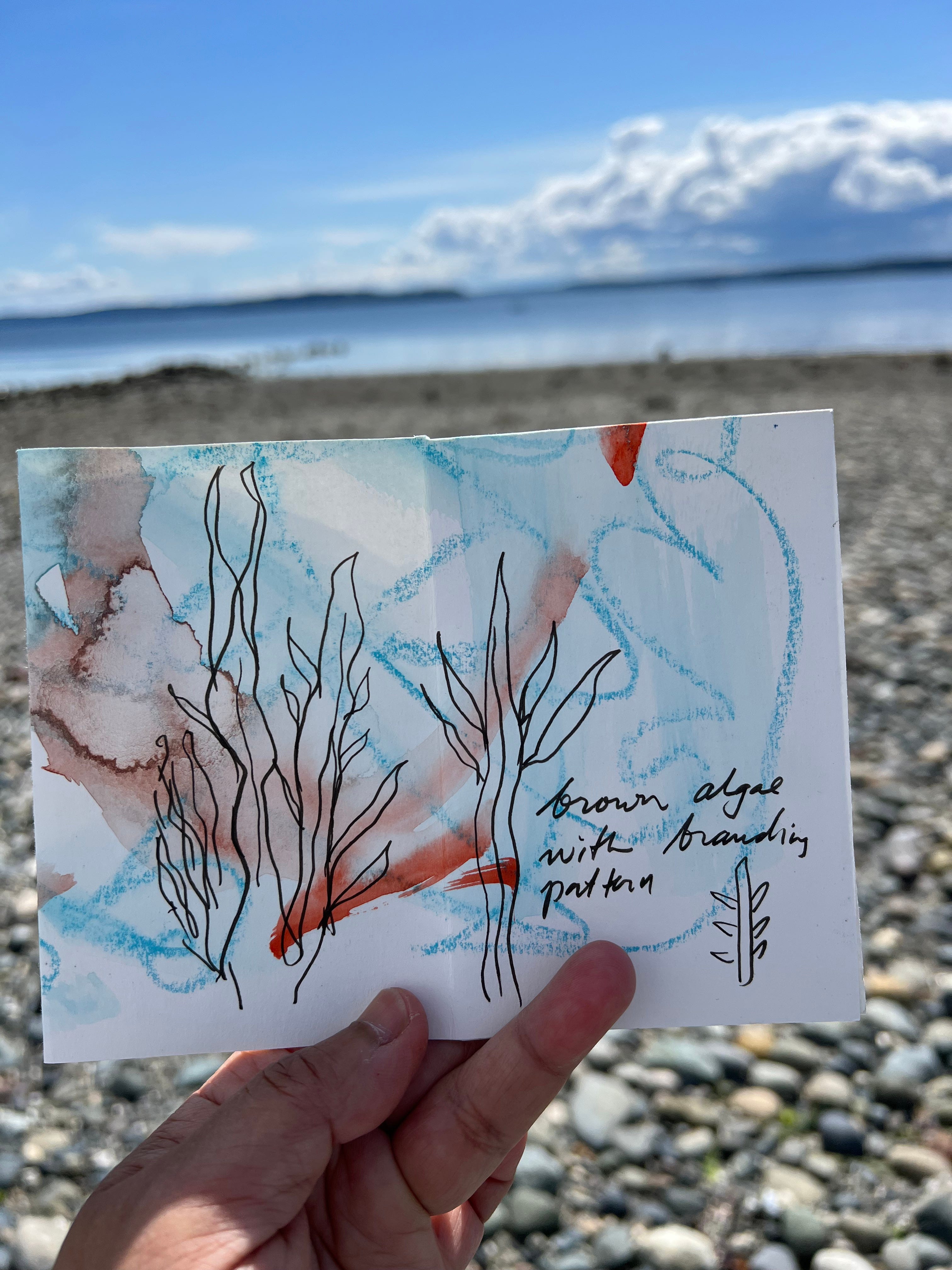 No-sew, One Piece Sketchbook - by Alma Ramiro Alonzo