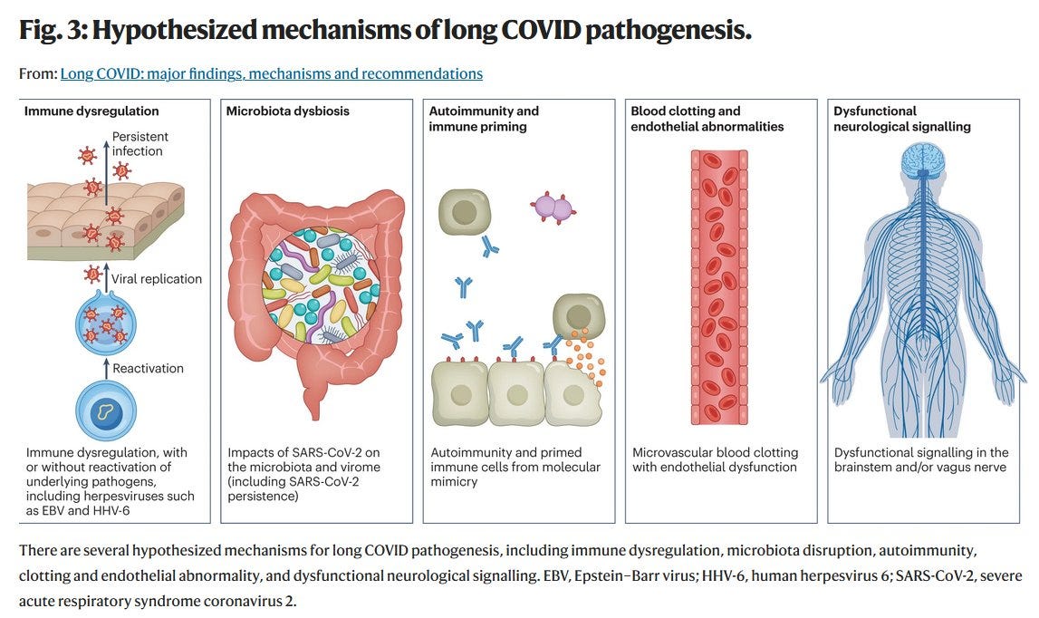 COVID Long : principaux résultats, mécanismes et recommandations ...