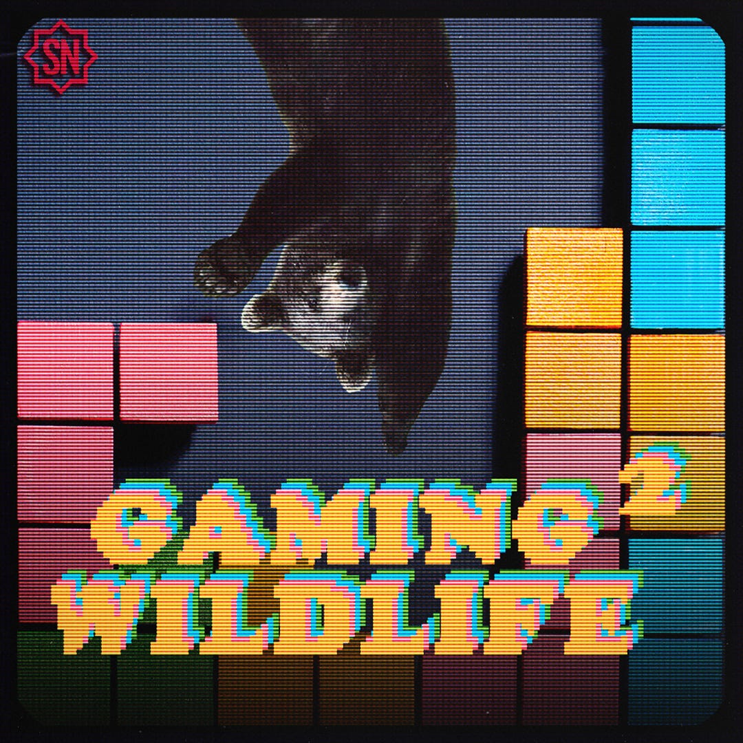 Wildlife Culture Collective | Substack