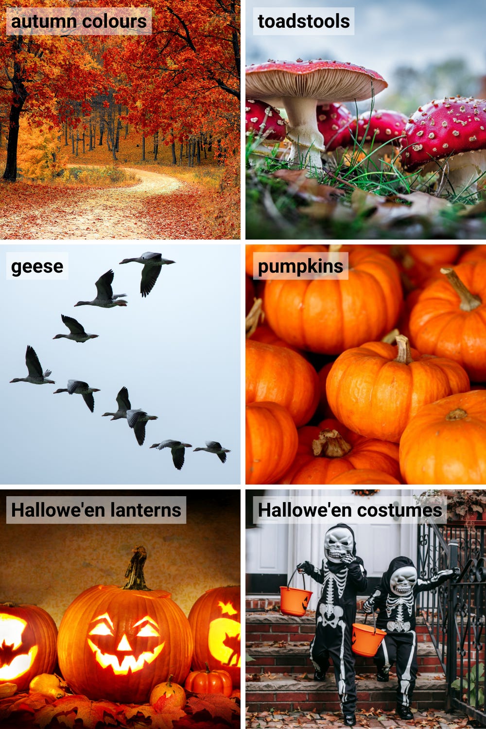 October in England - a reading lesson