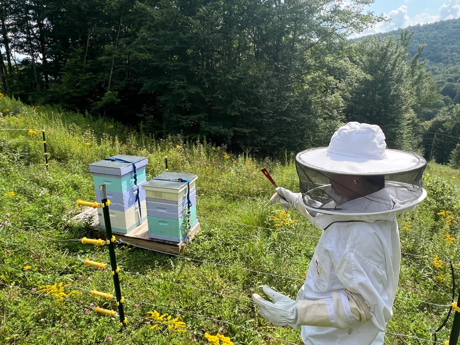 My 2024 word of the year: Resilience - by Juliette Han, PhD